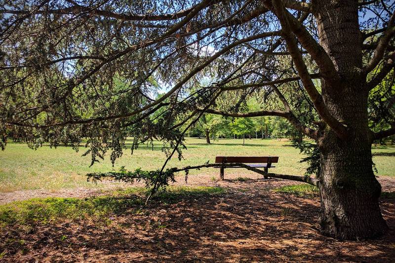 Randonnée à Chatou - La Boucle des peintres