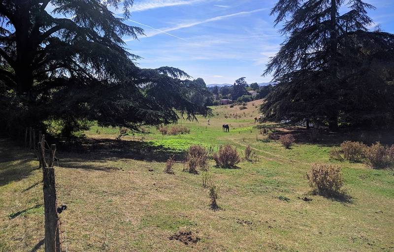 Randonnée à Limonest - Au sud de Limonest