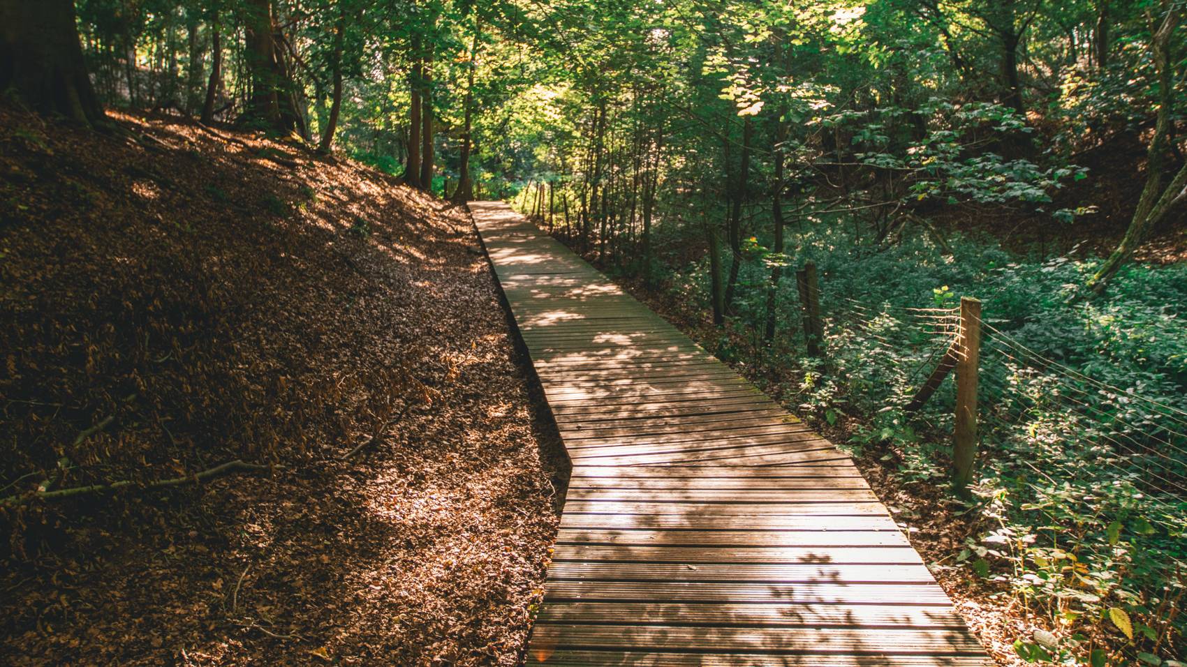 32 randonnées à explorer Mons • Helloways 🌲