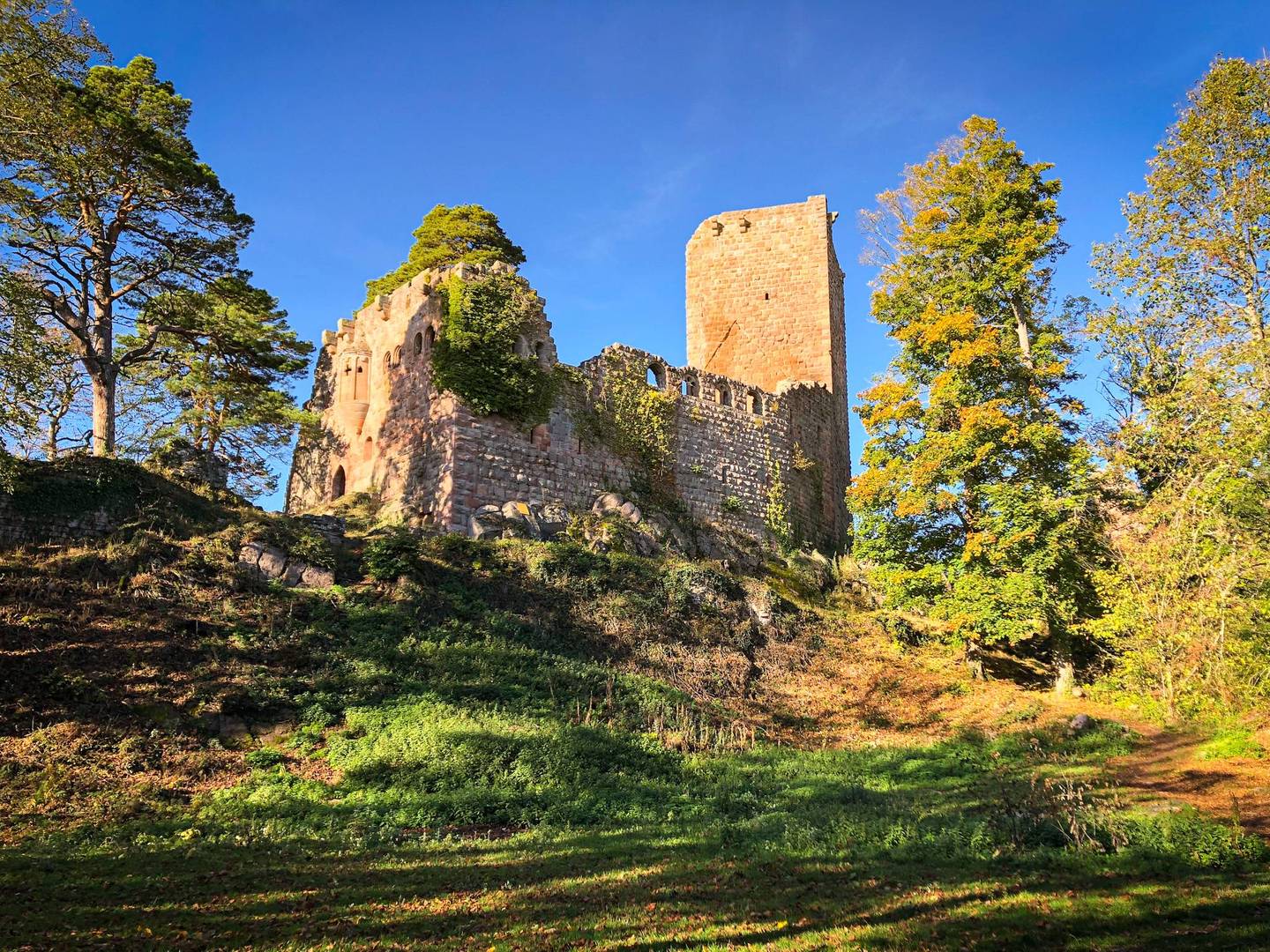 22 randonnées à explorer Obernai • Helloways 🌲
