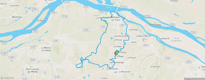 Randonnée à La Pommeraye - Entre vignes et bord de la Loire